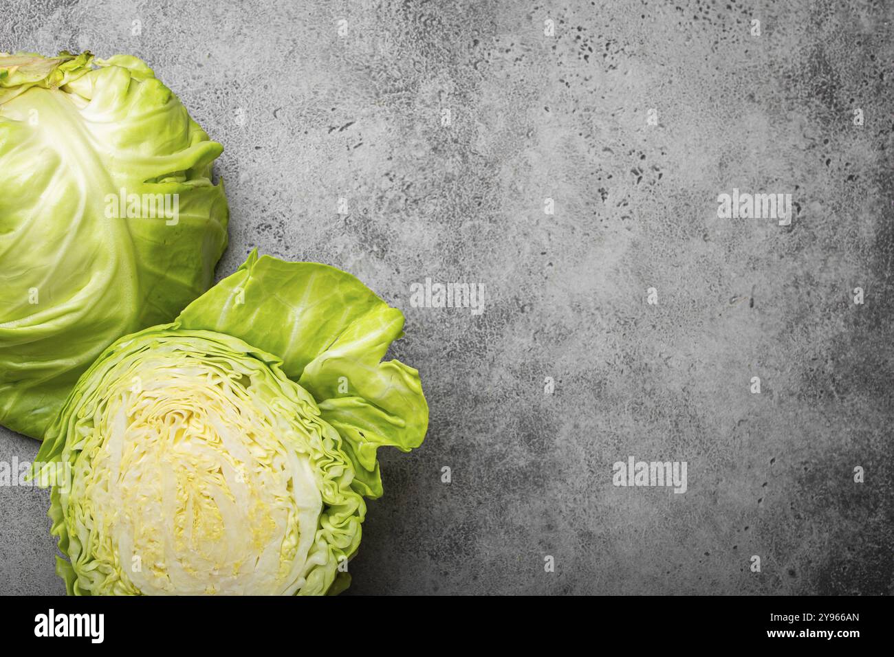 Fresh raw organic farm cabbage cut in half on grey rustic stone ...
