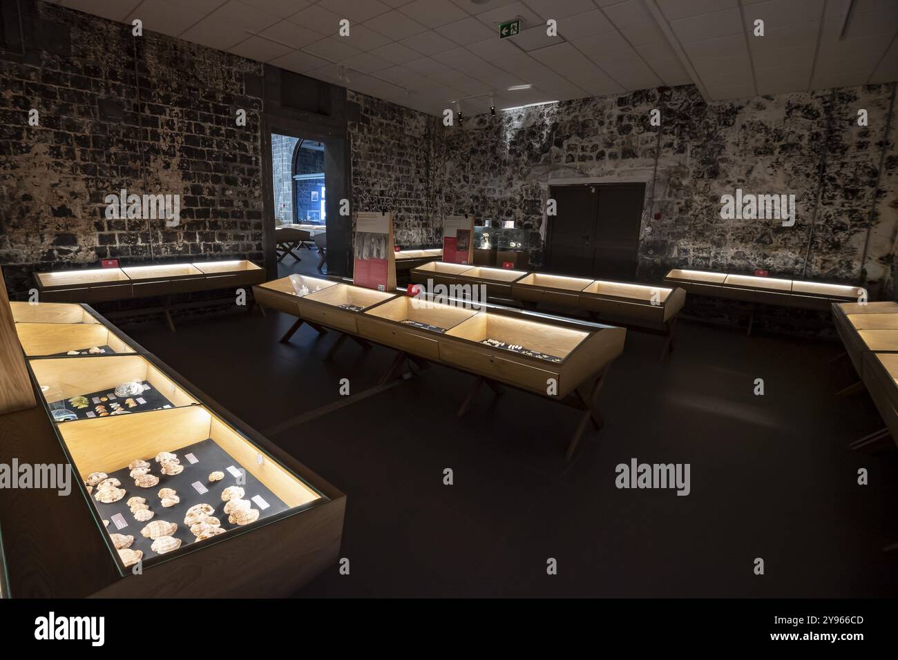 Museum, World of Seashells exhibition, Bel Ombre, Indian Ocean, island ...