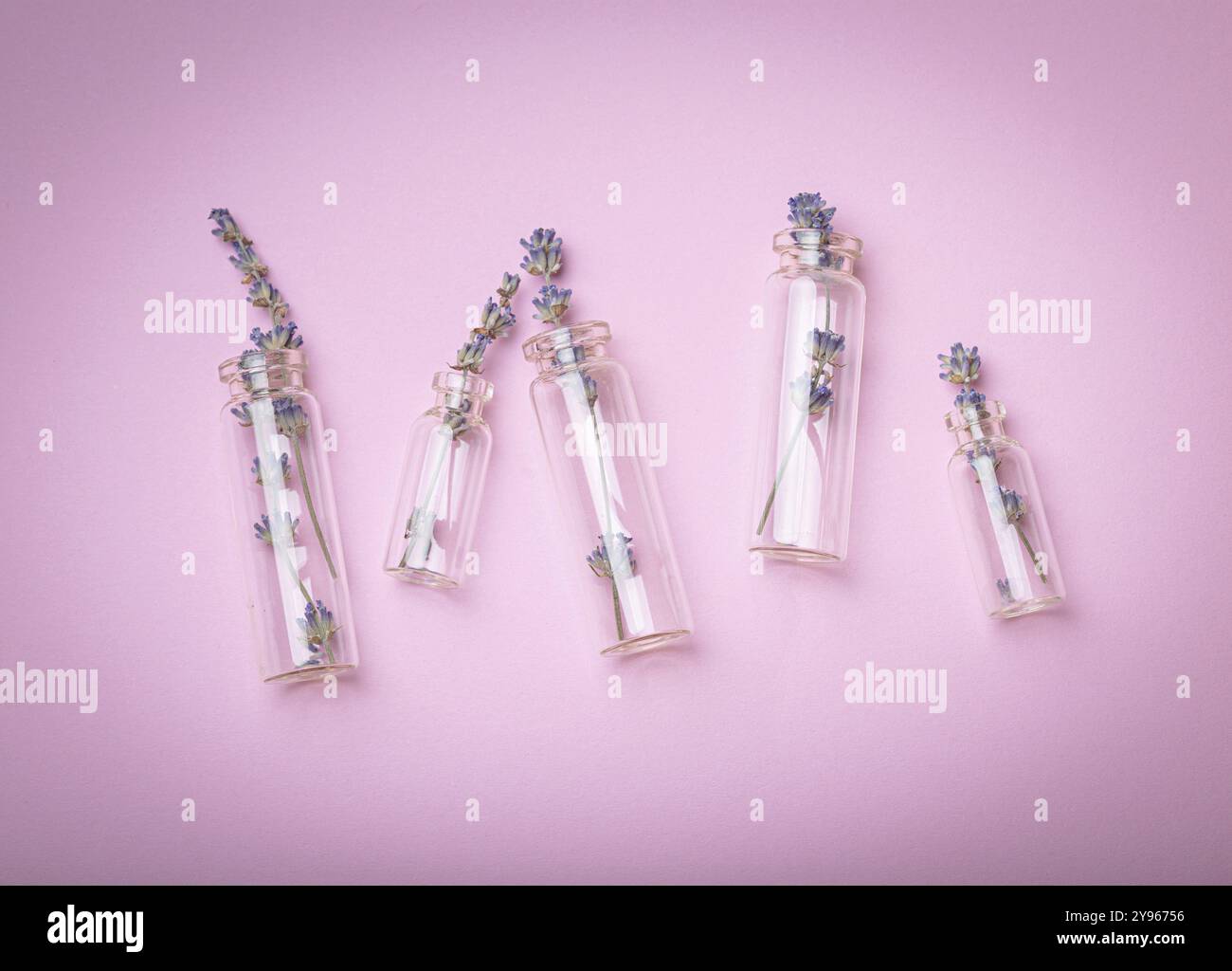 Lavender sprigs in glass test tubes on purple simple background top ...