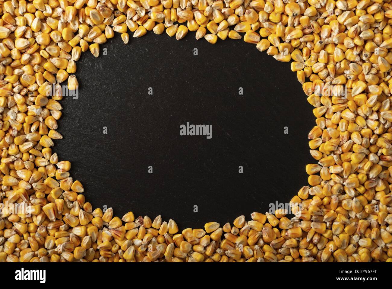 Maize corn background with copy-space flat lay, food photography, food ...