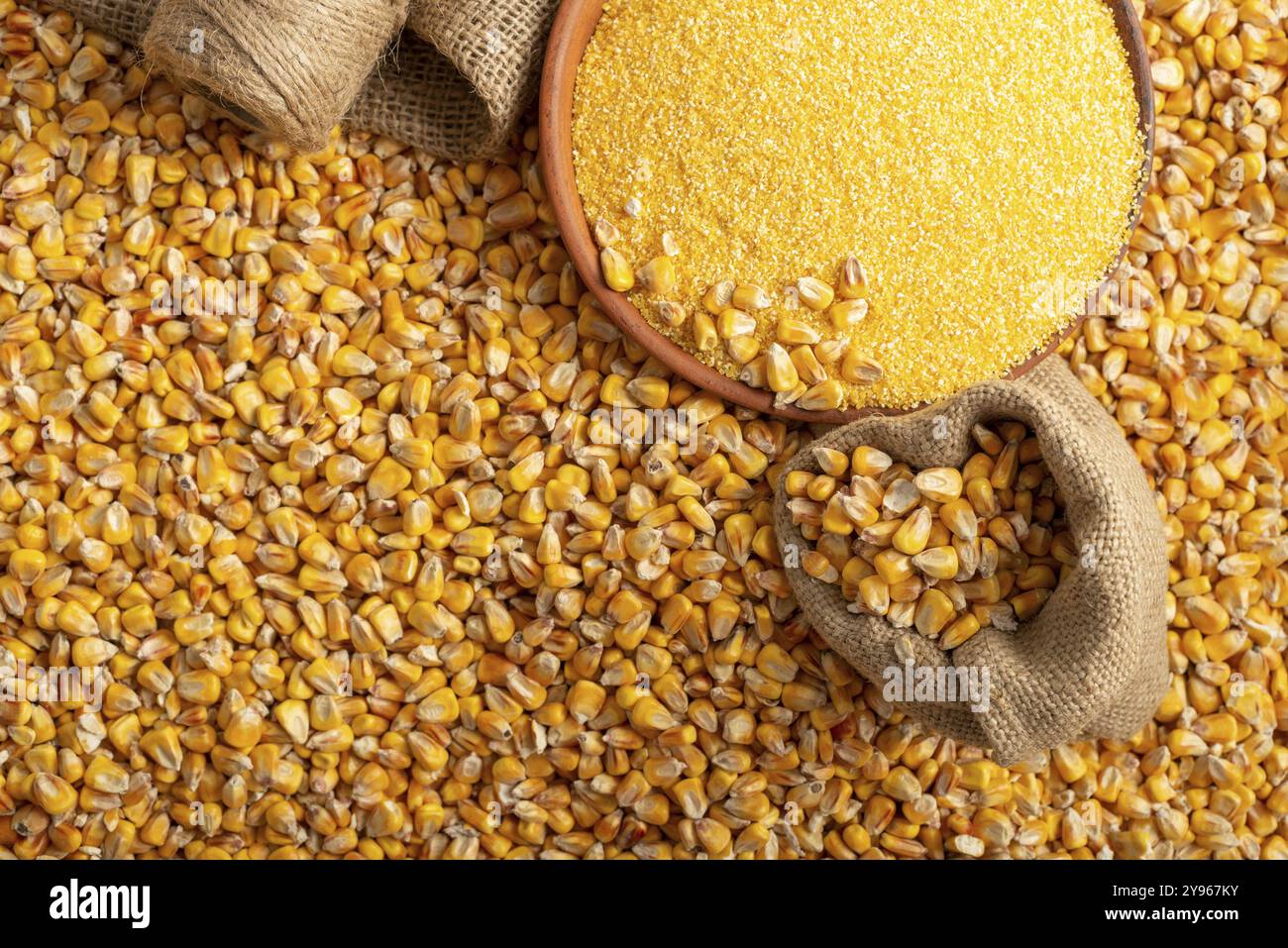 Yellow corn kernels with clay bowl in burlap sack flat lay, food ...