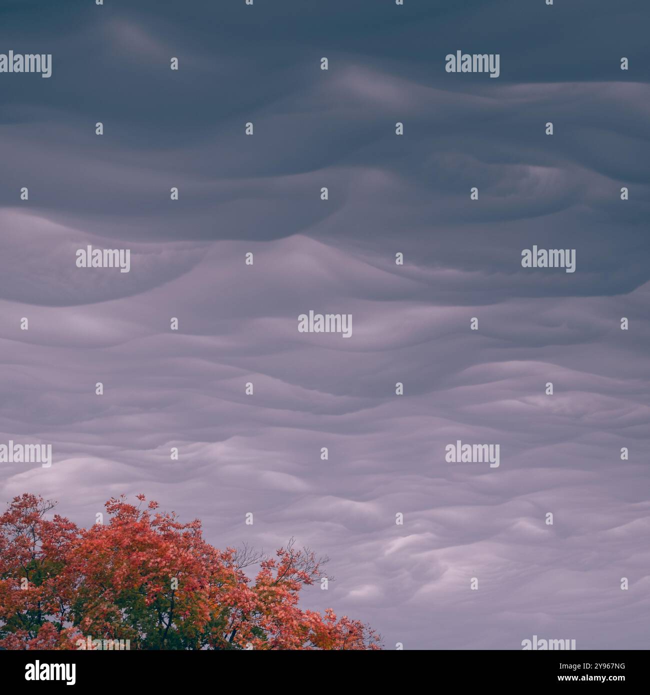 Rare and interesting Asperitas cloud seen in West Ottawa Stock Photo ...