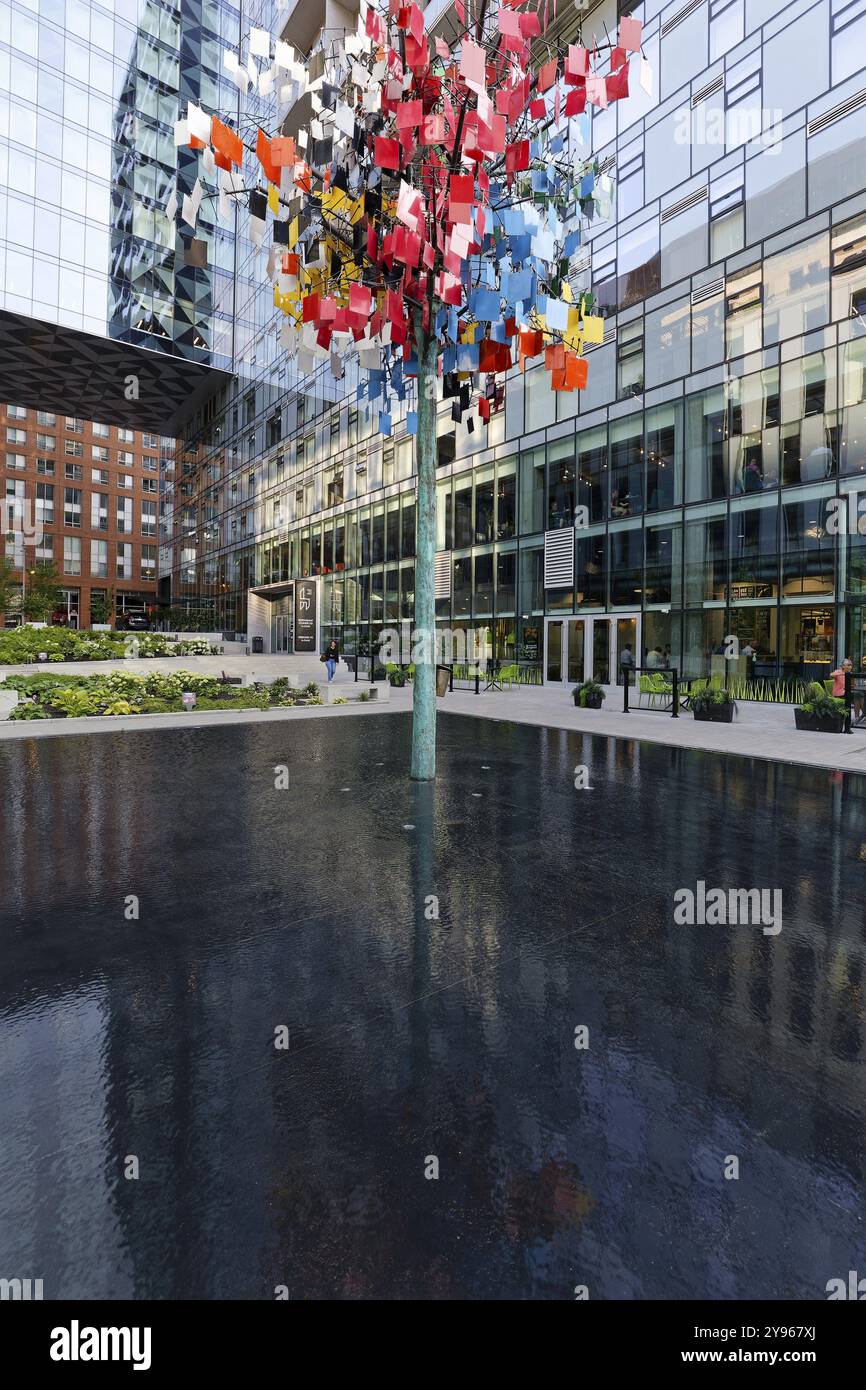 Water pool between modern buildings, Montreal, Province of Quebec ...