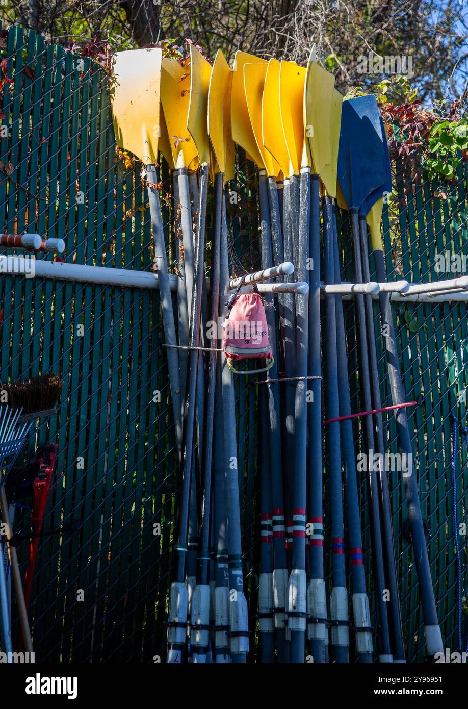 Oars againat a wall at a rowing club in Piermont, NY Stock Photo - Alamy