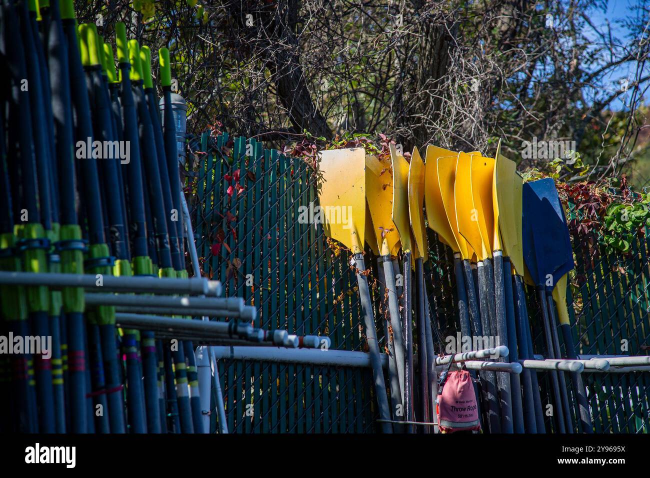 Oars againat a wall at a rowing club in Piermont, NY Stock Photo - Alamy