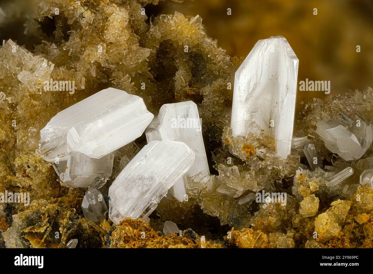 Cerussite and barytes minerals from North Yorkshire, UK. Cerussite ...