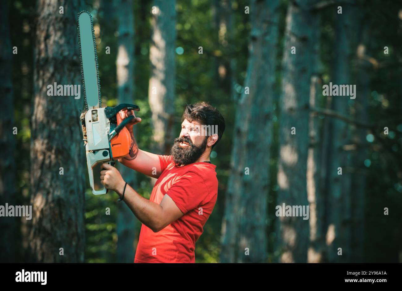Lumberjack worker walking in the forest with chainsaw. Professional ...