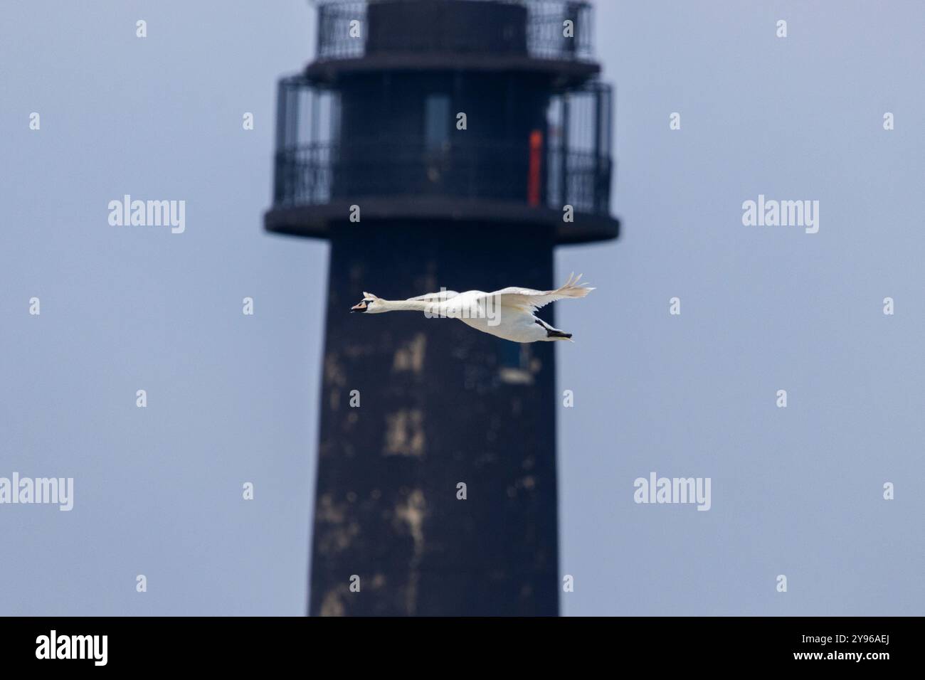 Suomeksi ||| in English Stock Photo - Alamy