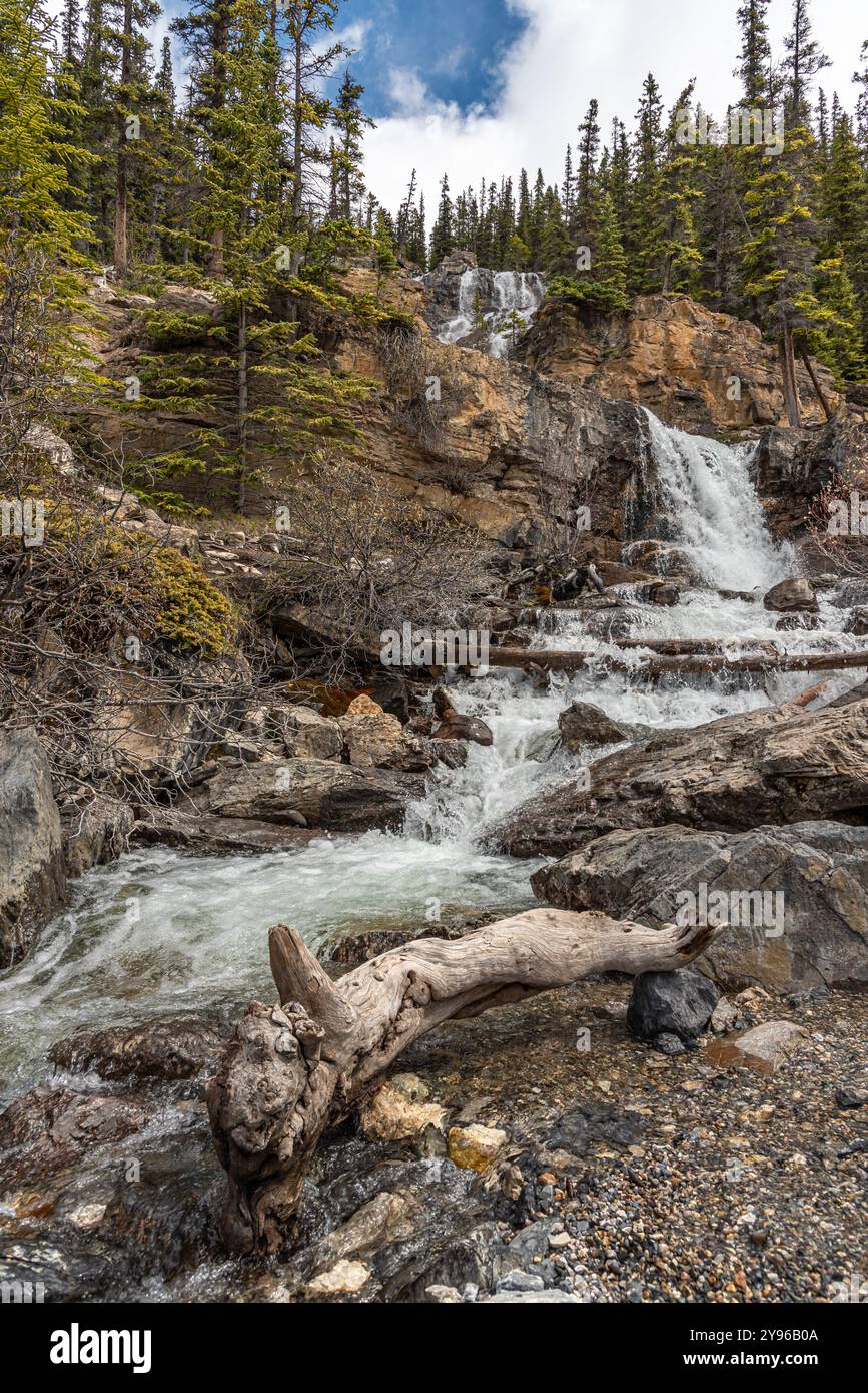 Stunning scenes from Tangle Creek Falls on the Icefields Parkway during ...