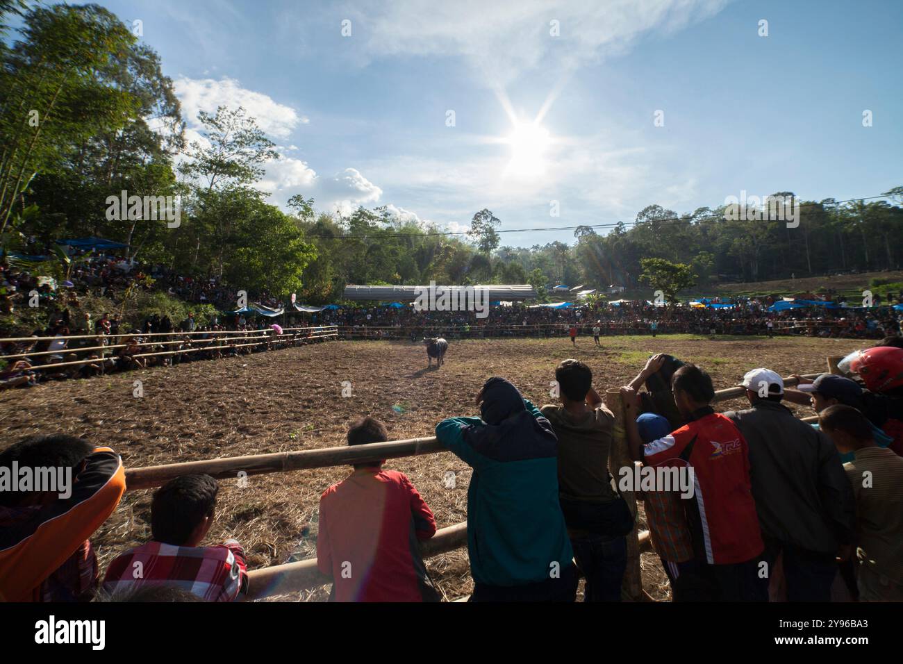 TANA TORAJA, SULAWESI, INDONESIA - November 26 2016: Funeral ceremony ...