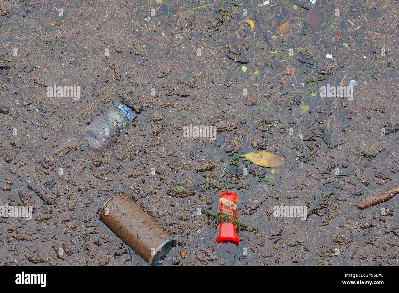 Man made trash plastics damaged shore line with microplastics, bottles ...