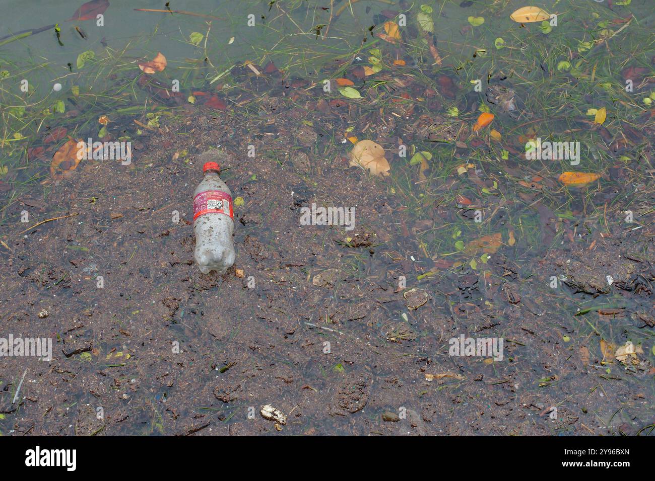 Man made trash plastics damaged shore line with microplastics, bottles ...