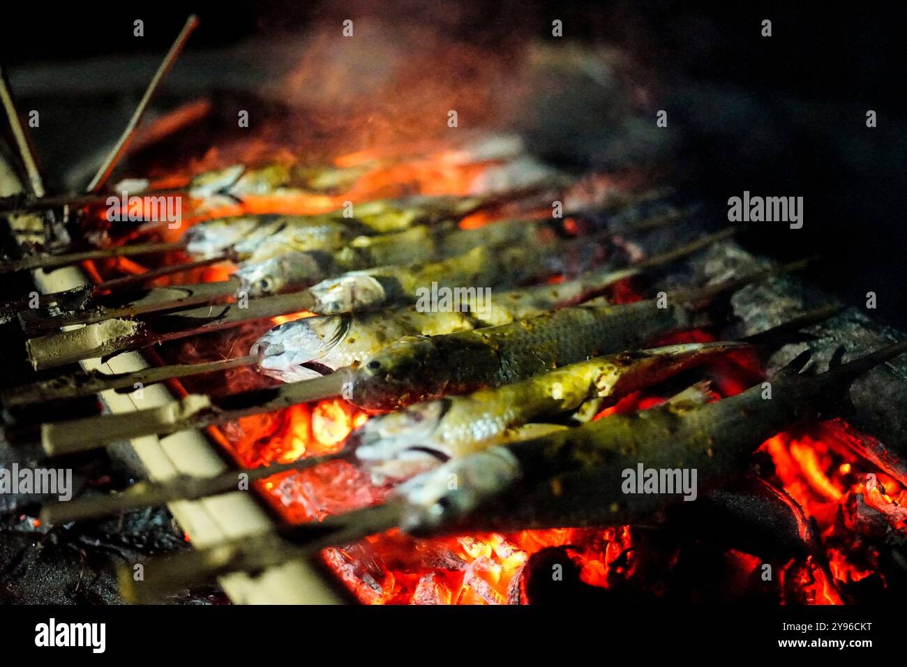 Fish using a tool hi-res stock photography and images - Alamy