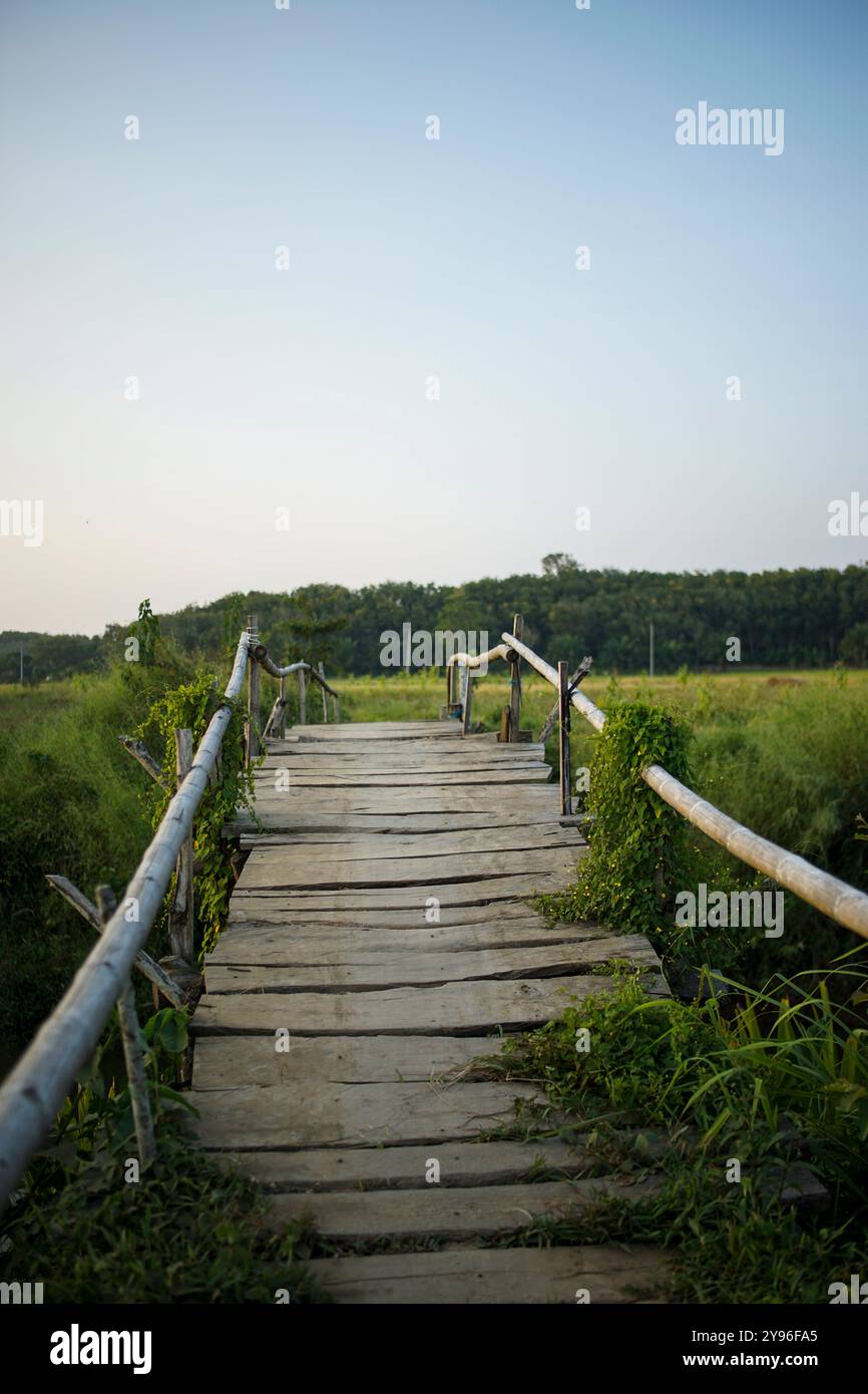traditional wooden bridge with green grass and blue sky Stock Photo - Alamy