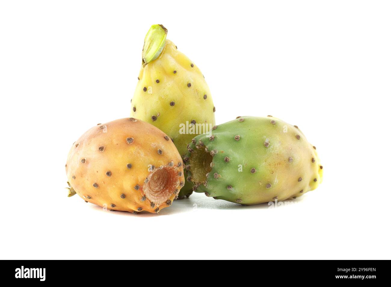 Closeup image of ripe prickly pear fruits isolated on a white ...