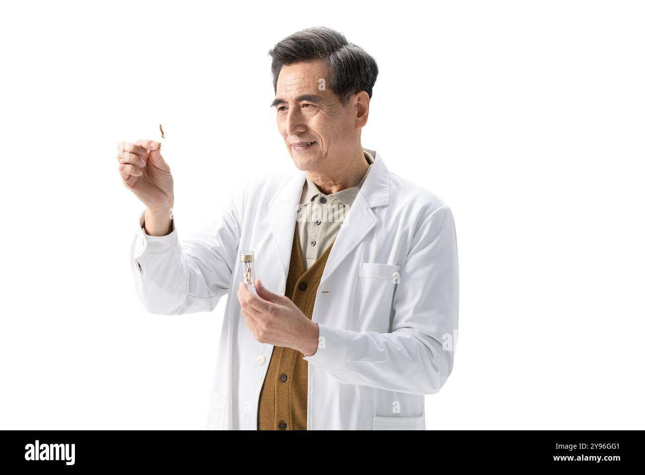 Traditional Chinese physician with cordyceps sinensis Stock Photo - Alamy