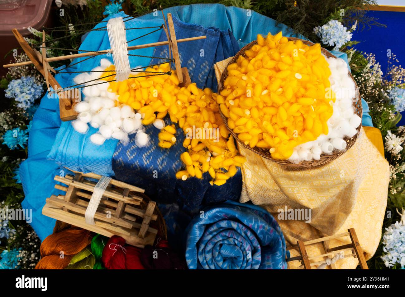 Cocoon of Bombyx mori or chrysalis silkworm and traditional antique ...