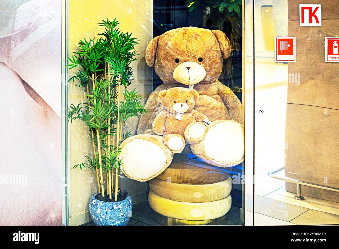 large teddy bear with a small teddy bear in a shop window in a shopping ...