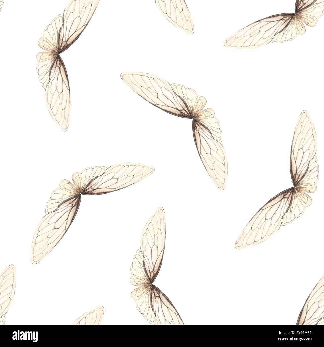 Cicada illustration hi-res stock photography and images - Alamy