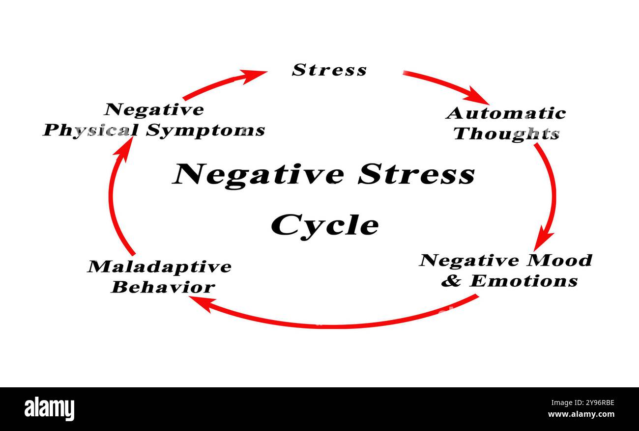 Components of Negative Stress Cycle Stock Photo - Alamy
