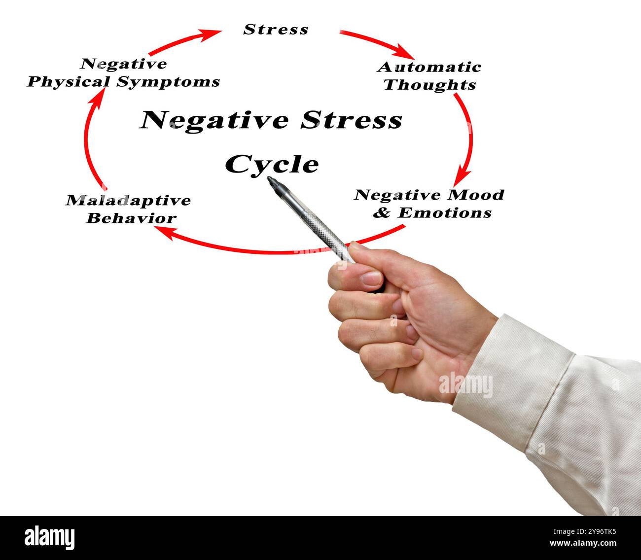 Components of Negative Stress Cycle Stock Photo - Alamy