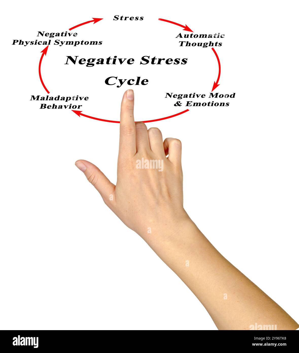 Components of Negative Stress Cycle Stock Photo - Alamy