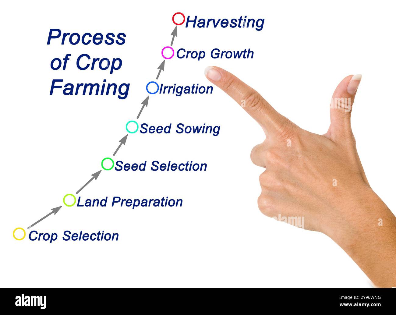 Process of Crop Farming: From Crop Selection to Harvesting Stock Photo ...