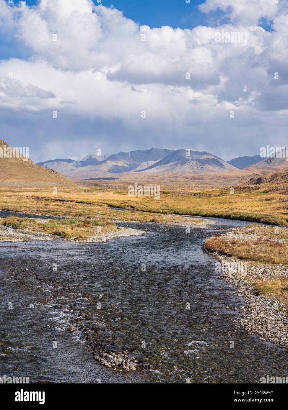 Vertical summer landscape view of river on high-altitude Deosai Plains ...