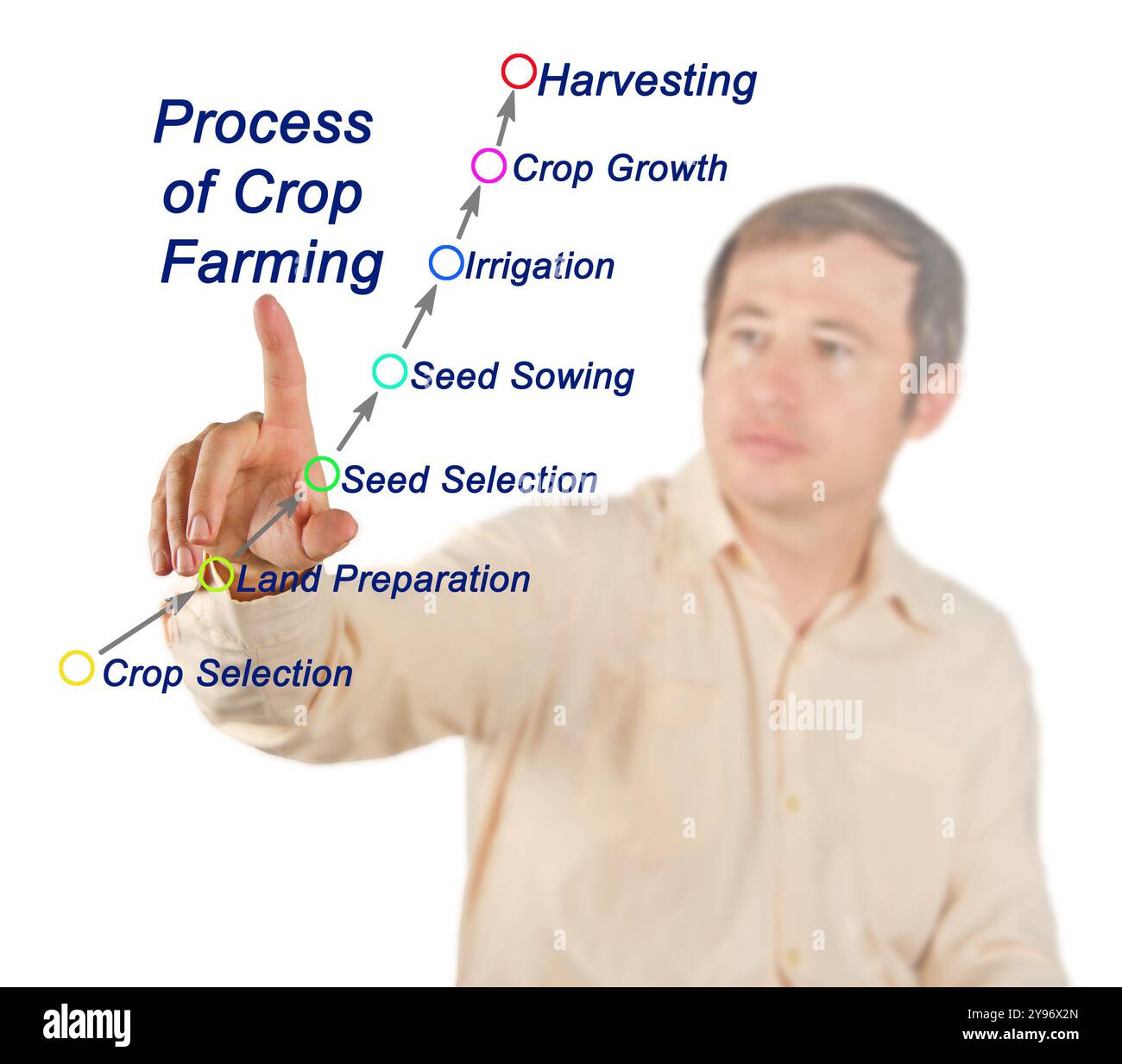 Process of Crop Farming: From Crop Selection to Harvesting Stock Photo ...