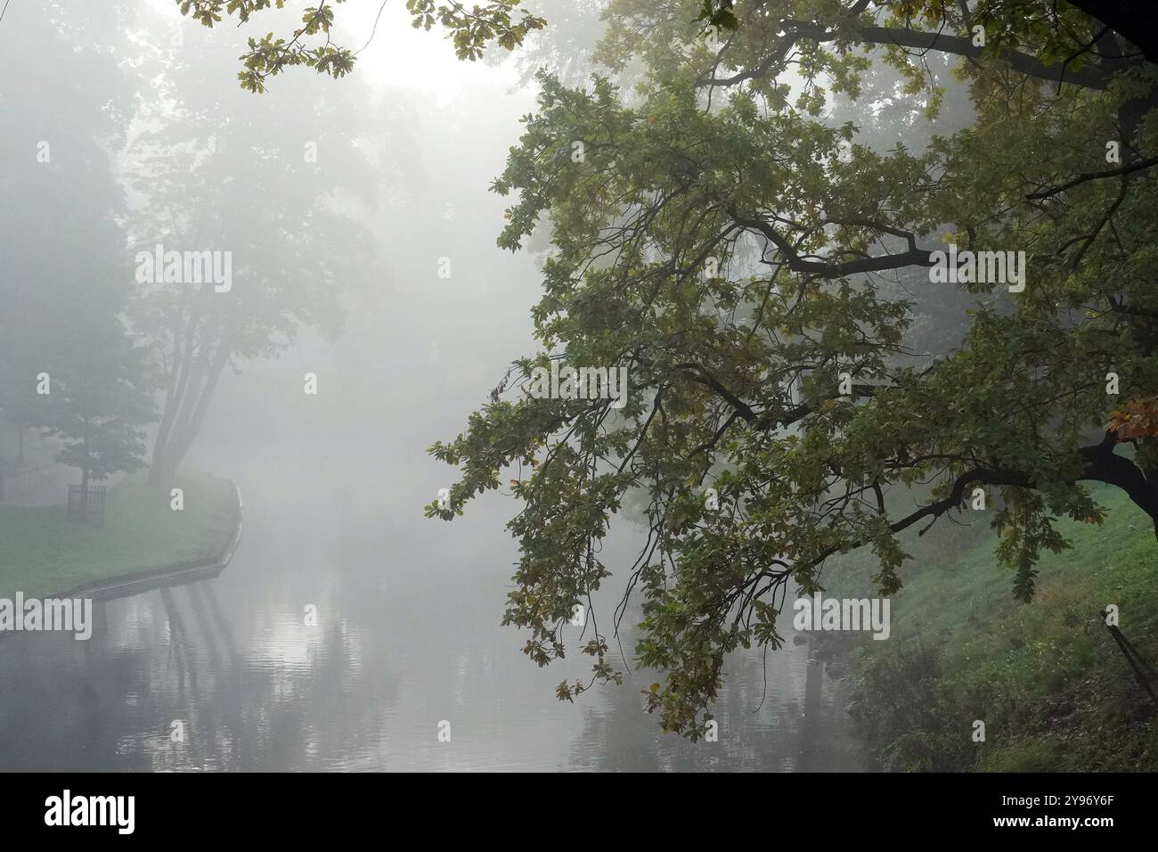 Riga, Latvia. 8th Oct, 2024. This photo shows a city channel amid fog ...