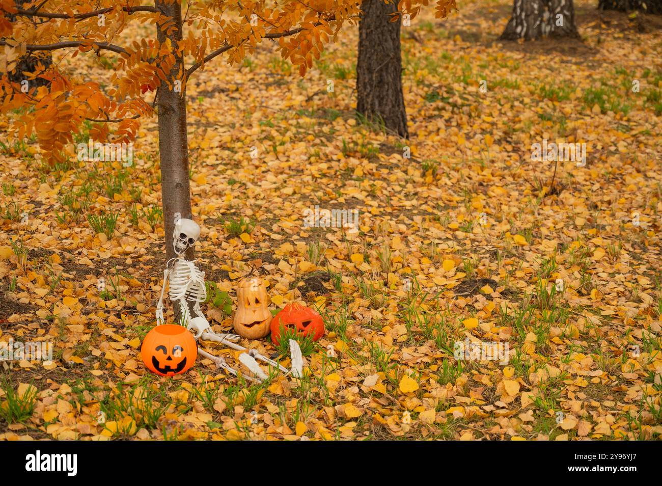 Halloween decorations under a tree in an autumn forest Stock Photo - Alamy