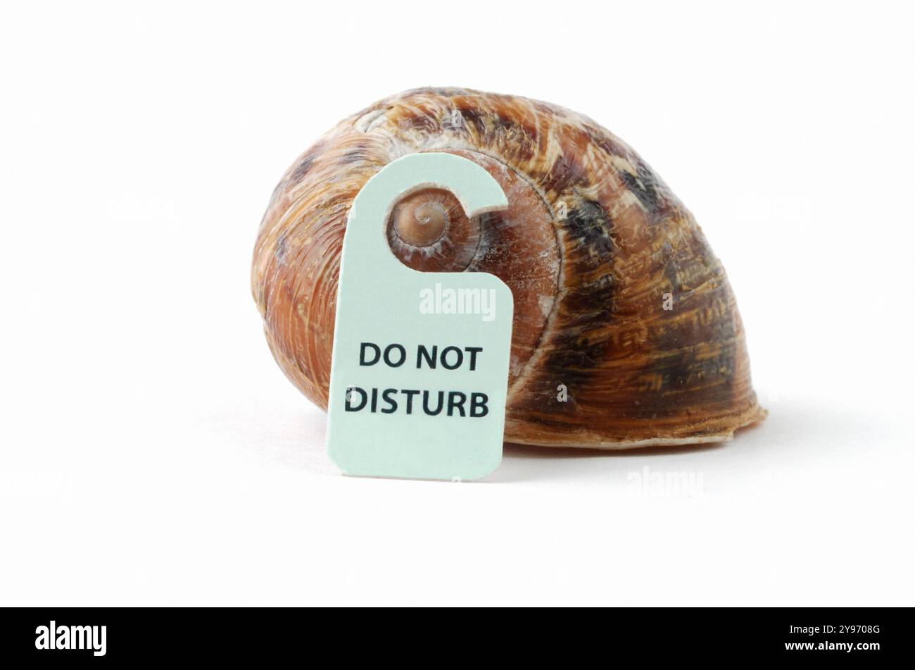 A snail shell with a do not disturb sign hanging off it, set in white ...
