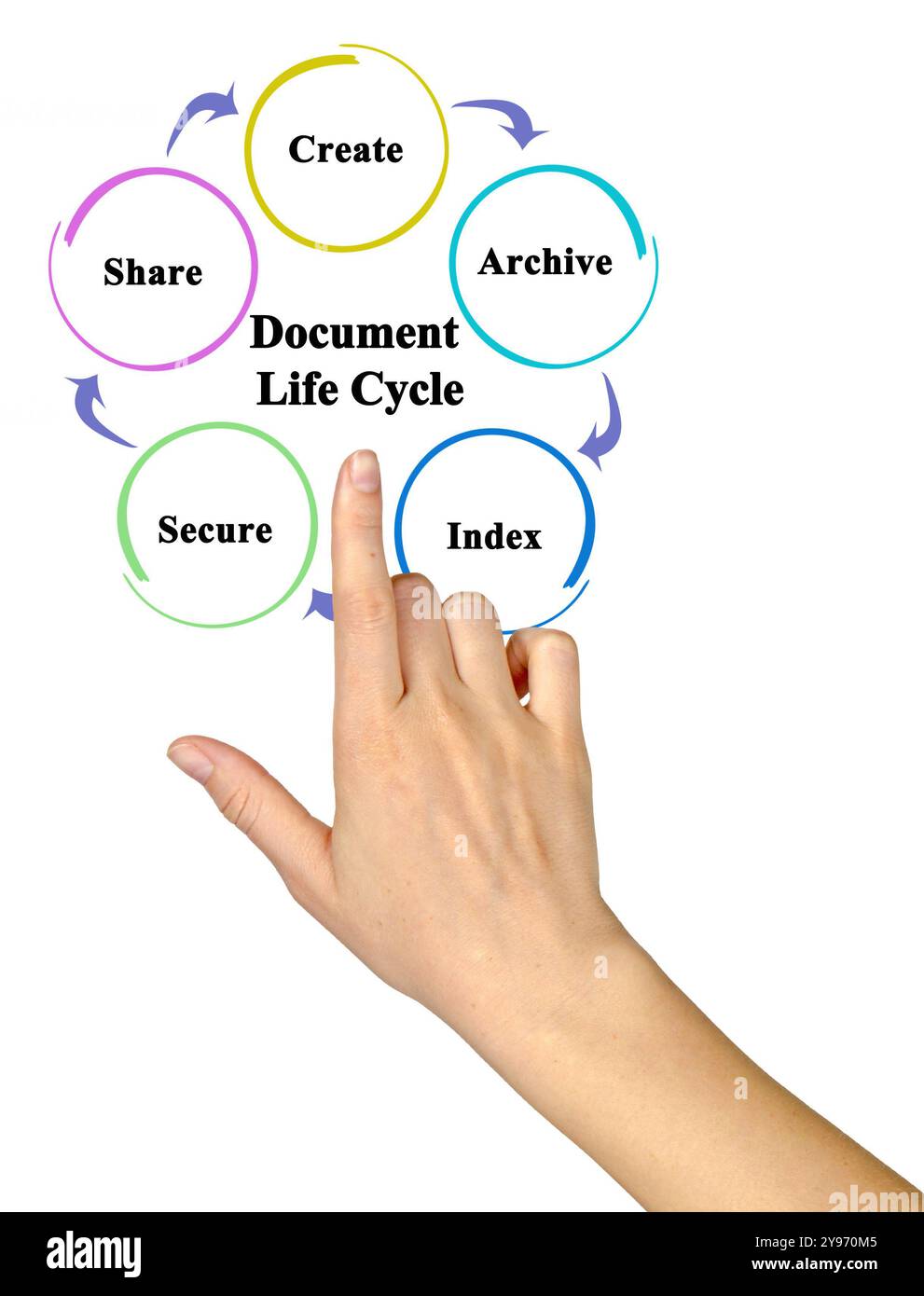 Components of Document Life Cycle Stock Photo - Alamy