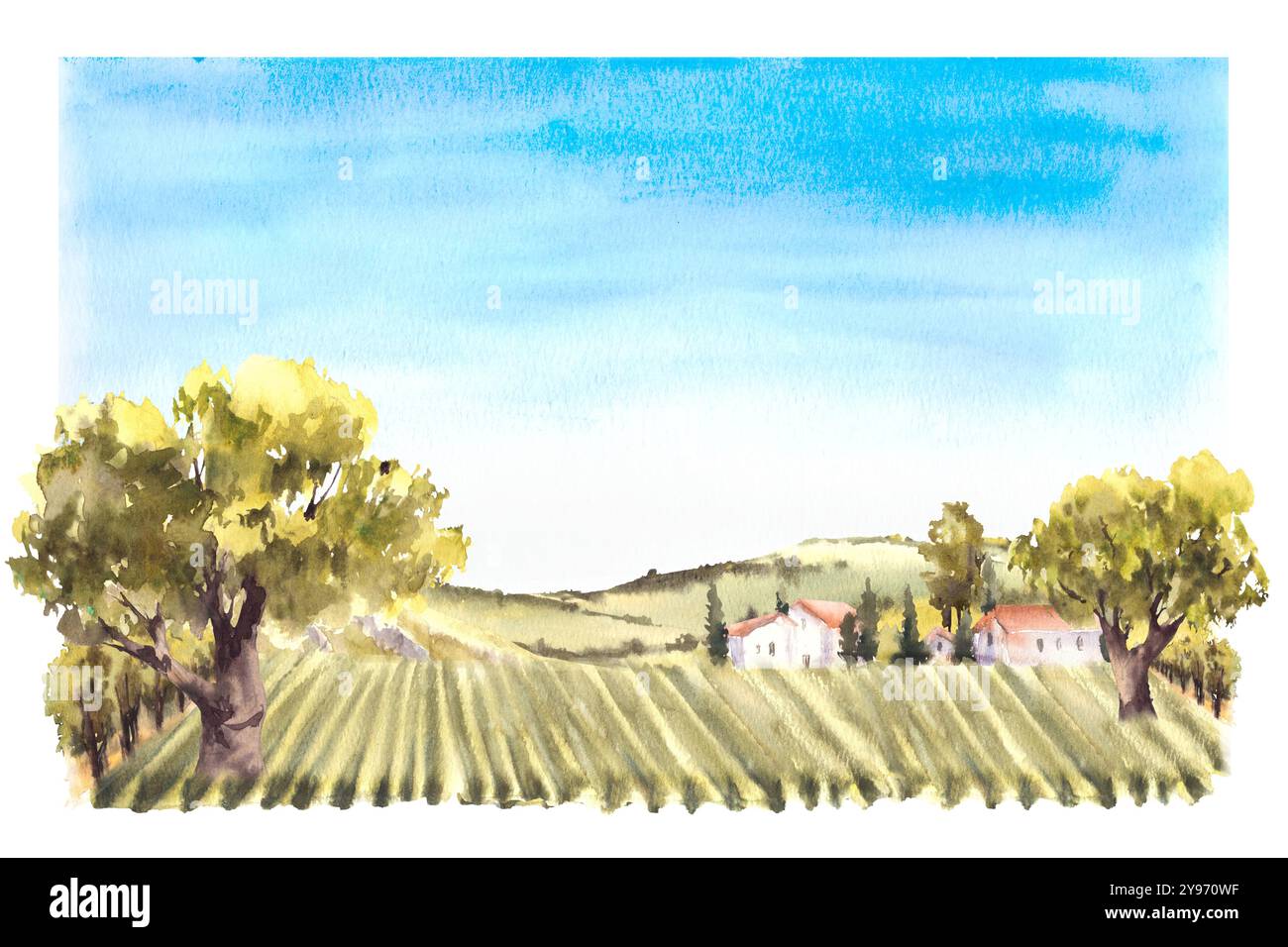 Vineyard cypress trees blue Cut Out Stock Images & Pictures - Alamy