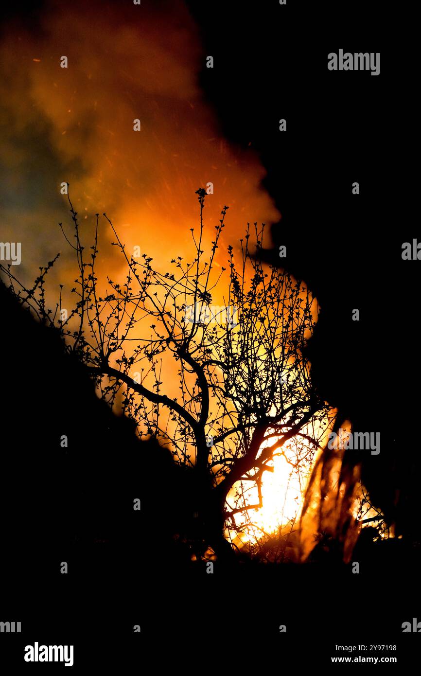 Big fire at night. Fire in nature. Easter fire. Clouds of smoke Stock ...