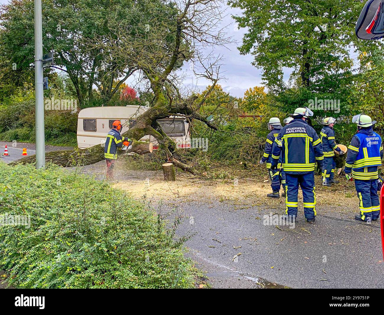Stürmische Wetterwarnung mit Dauerregen im Südwesten: Großer Baum kann ...