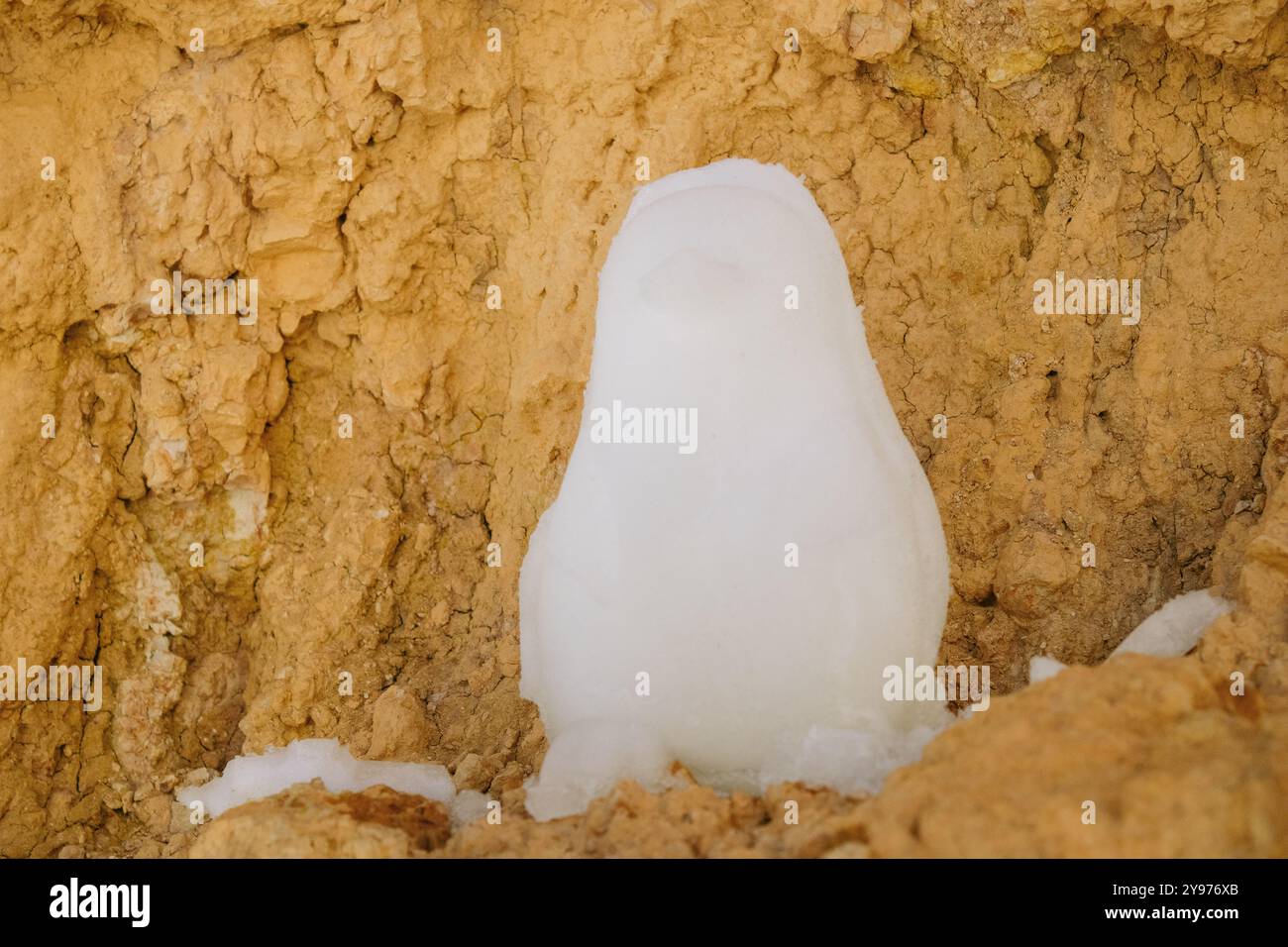 A penguin made out of a snow mold Stock Photo - Alamy