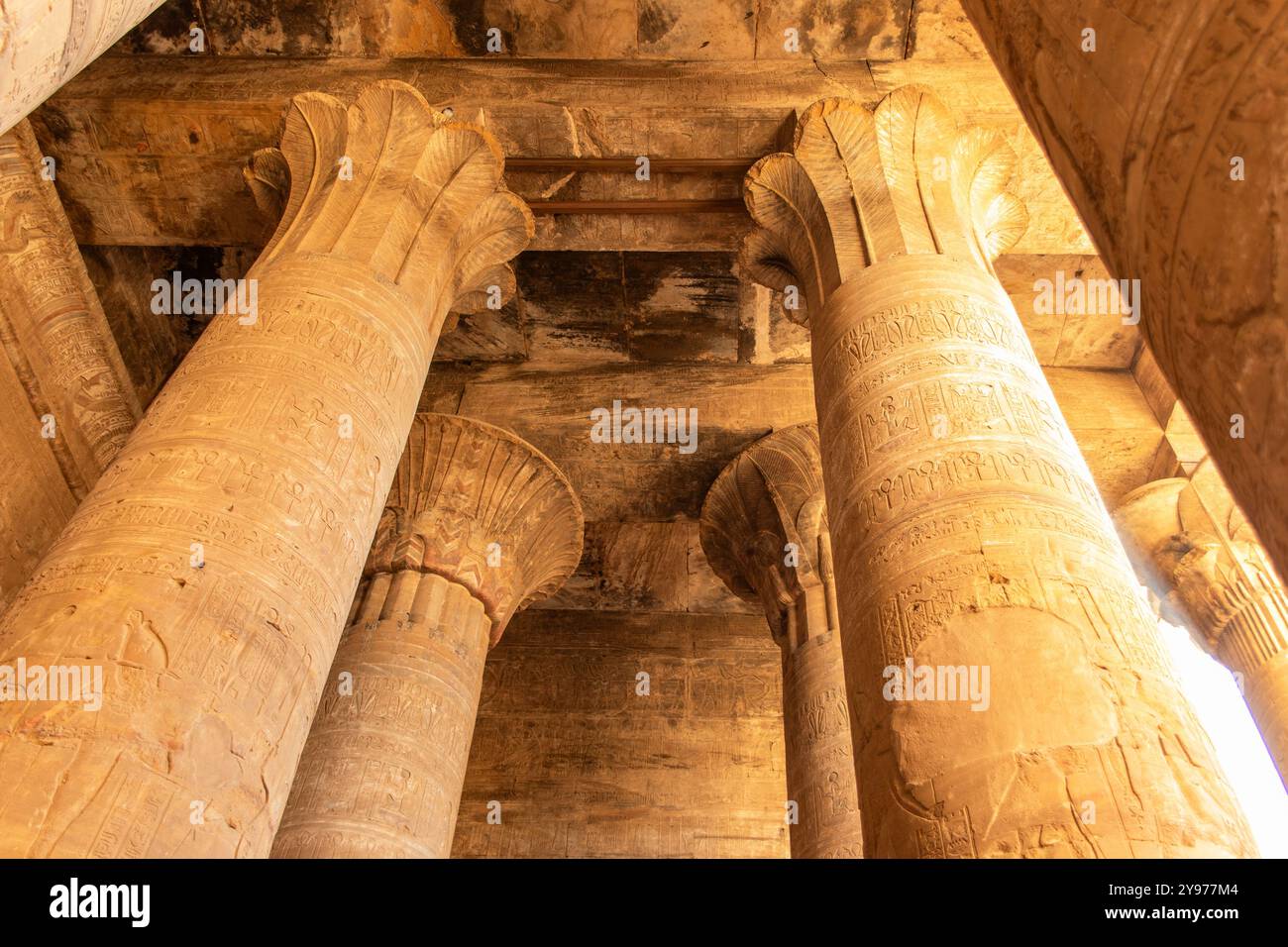 Marvel at the colossal pillars that support the roof of the Temple of ...