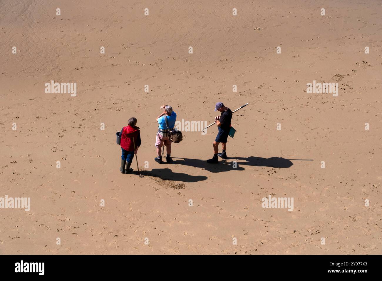 Shellfish gatherers on a beach. Three people on the beach plage du Môle ...