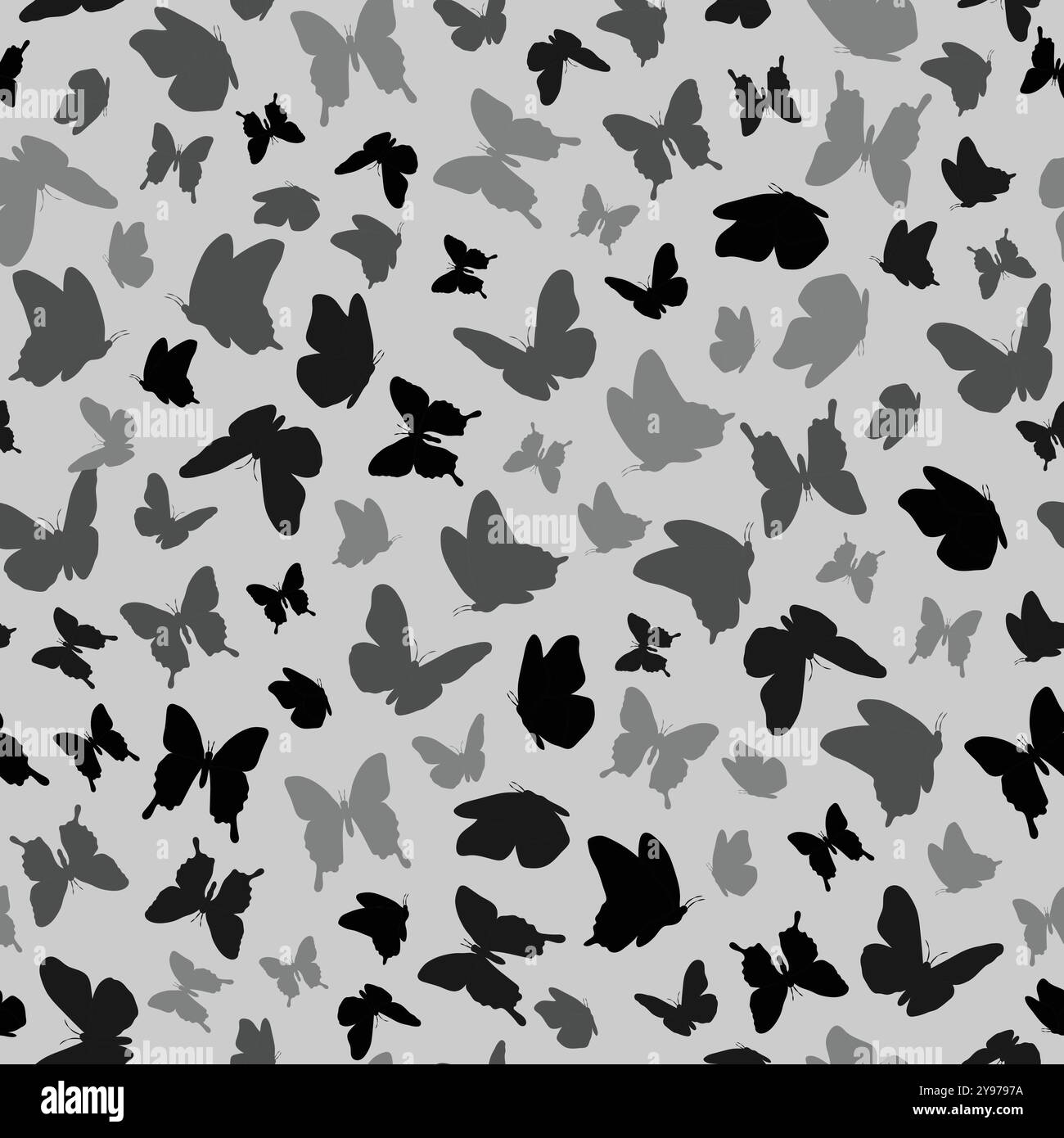 Orange wing pattern Black and White Stock Photos & Images - Alamy