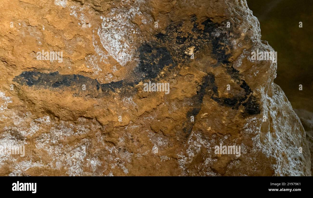 cave paintings in the Lascaux cave Stock Photo - Alamy