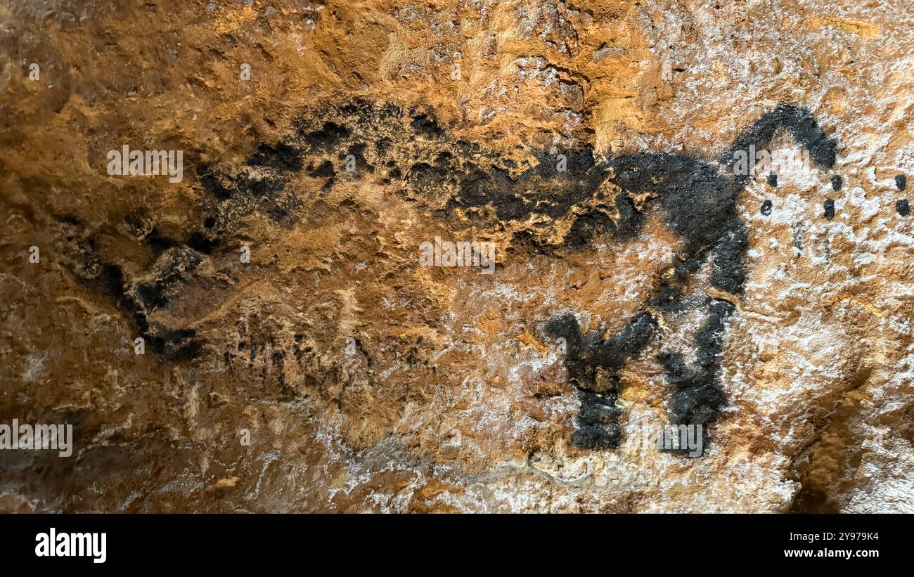 cave paintings in the Lascaux cave Stock Photo - Alamy