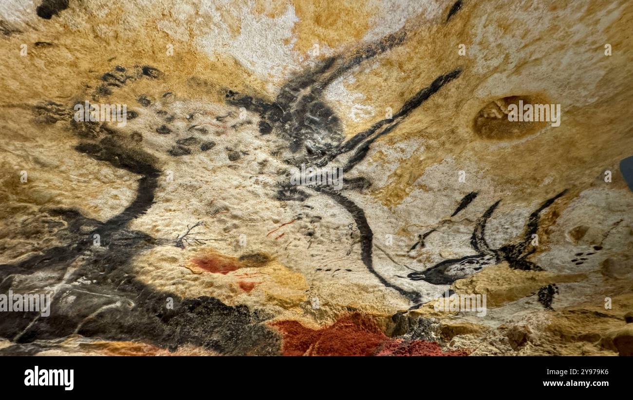 cave paintings in the Lascaux cave Stock Photo - Alamy