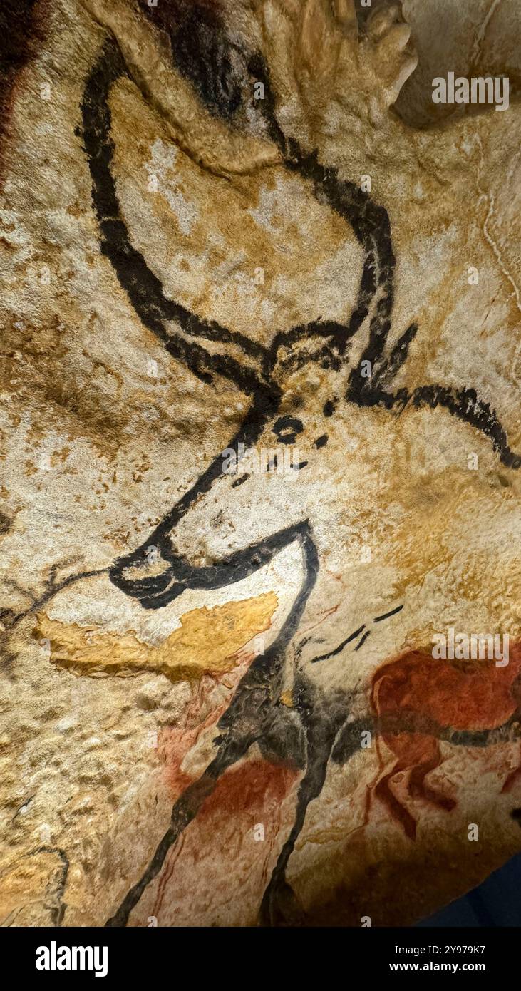 cave paintings in the Lascaux cave Stock Photo - Alamy