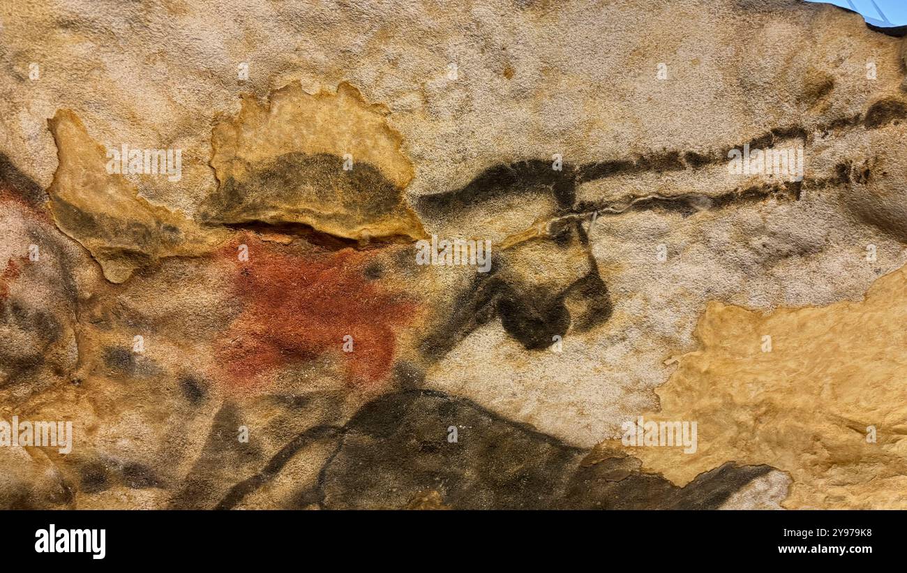 cave paintings in the Lascaux cave Stock Photo - Alamy