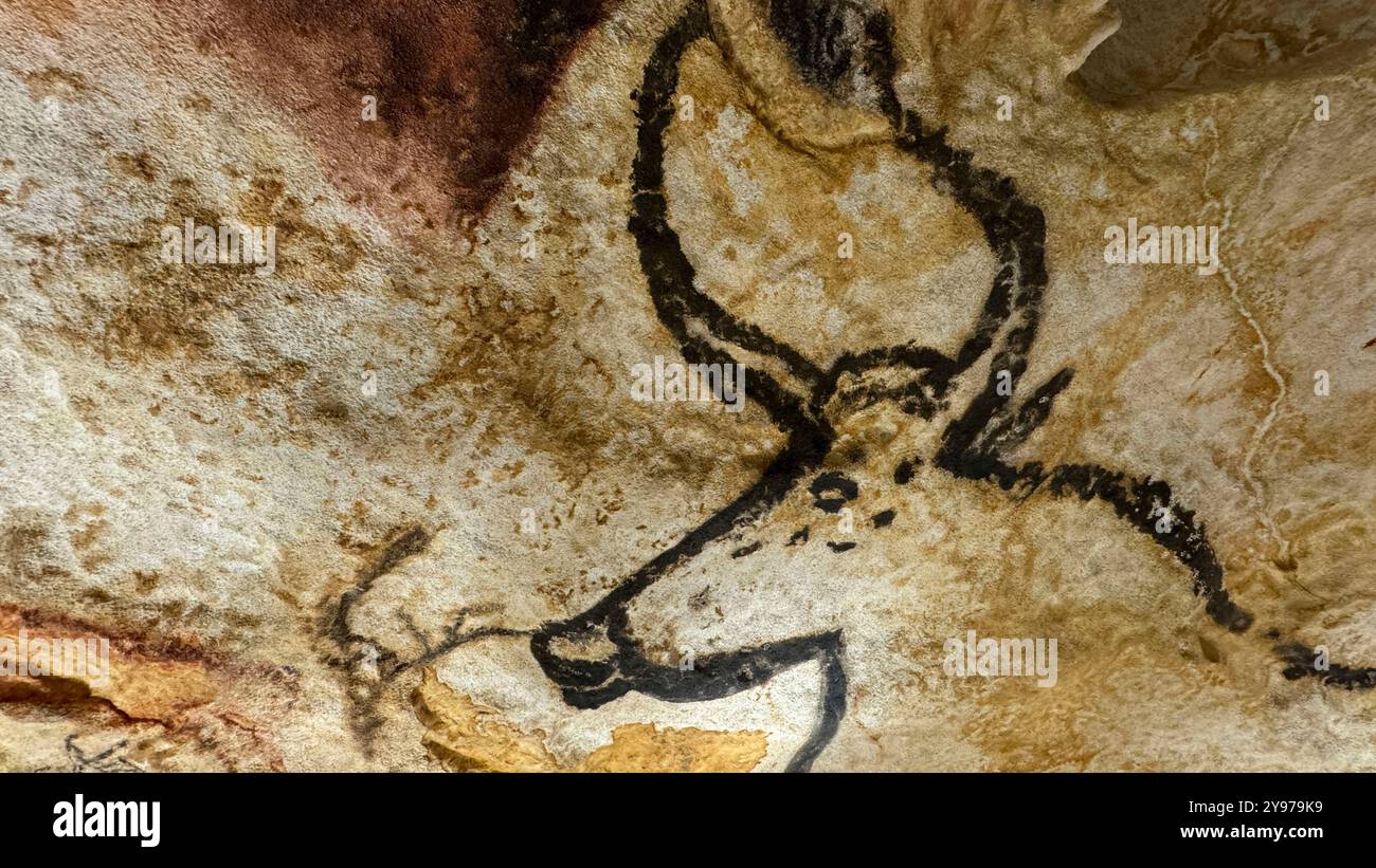 cave paintings in the Lascaux cave Stock Photo - Alamy