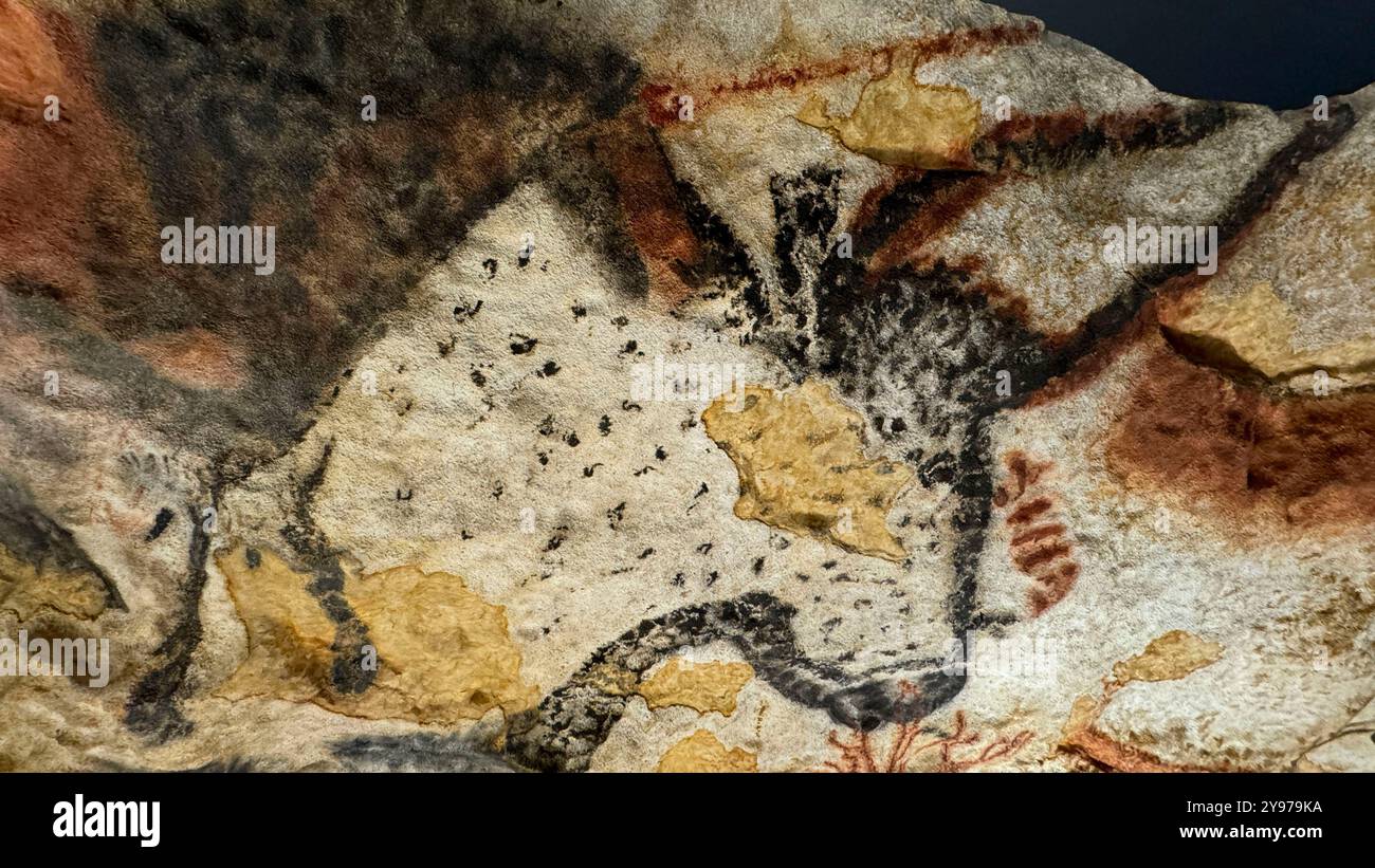 cave paintings in the Lascaux cave Stock Photo - Alamy