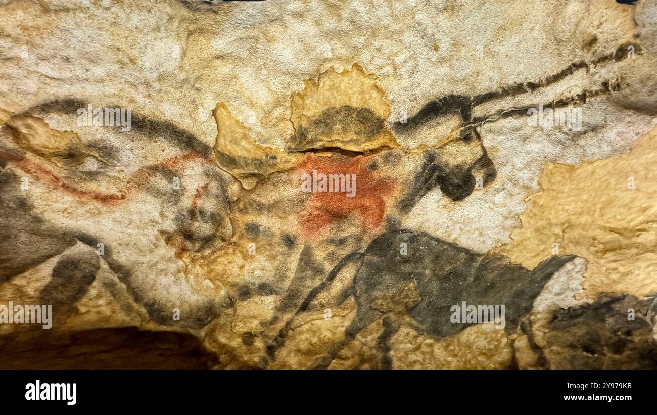 cave paintings in the Lascaux cave Stock Photo - Alamy