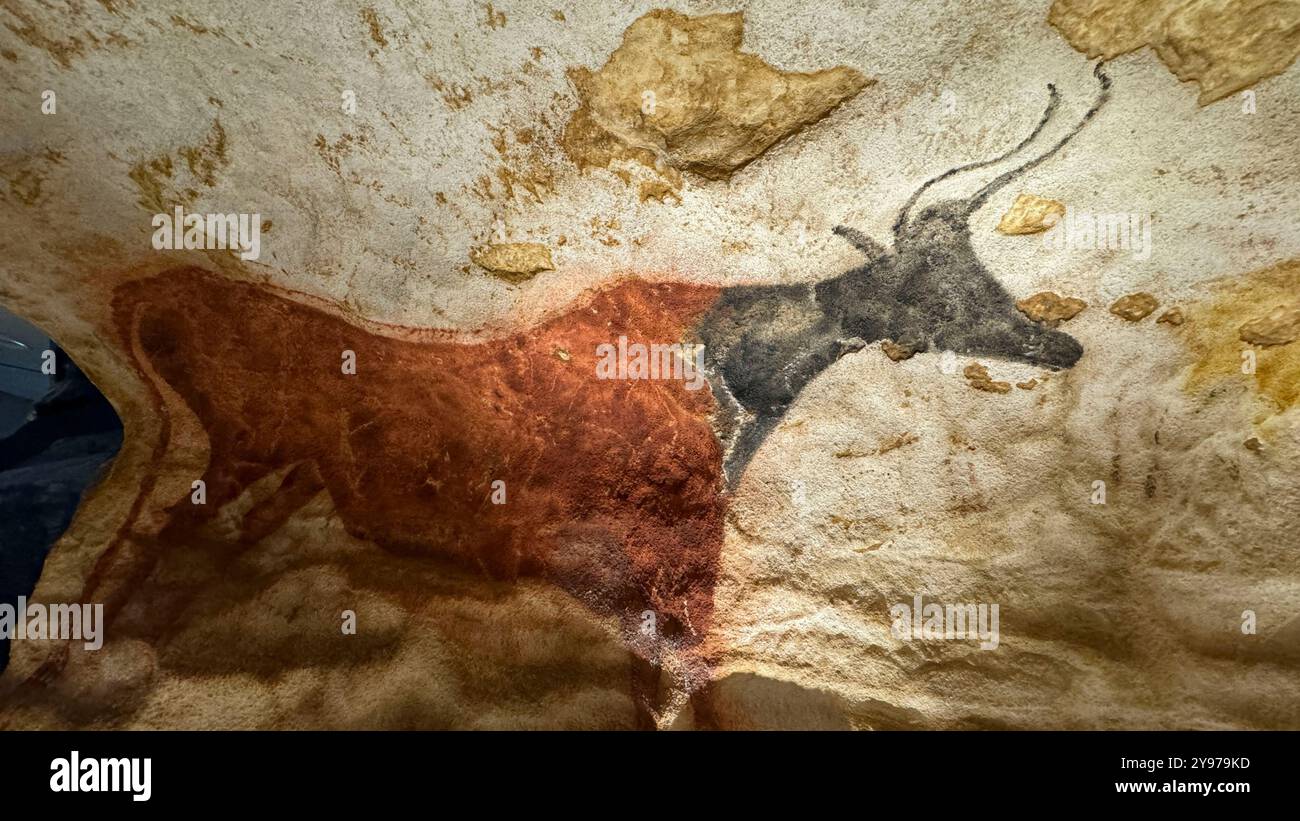 cave paintings in the Lascaux cave Stock Photo - Alamy