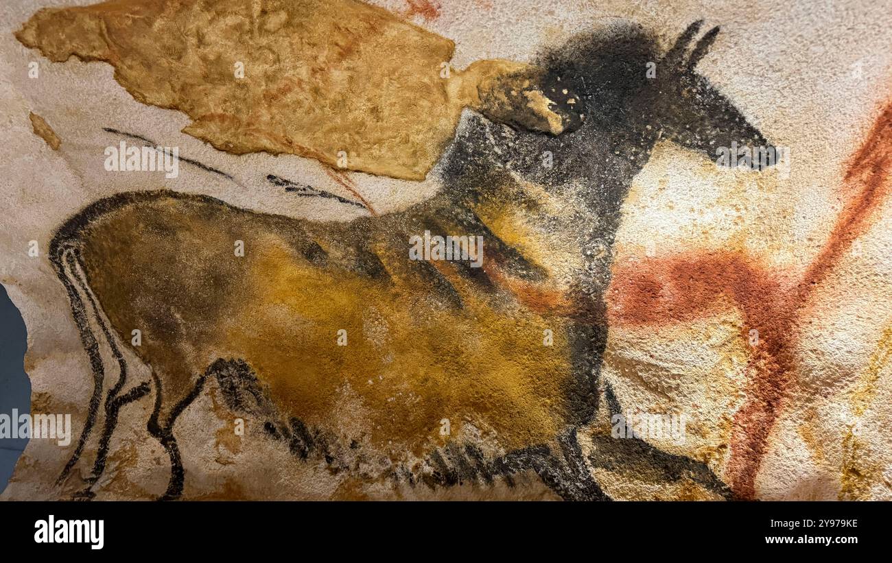 cave paintings in the Lascaux cave Stock Photo - Alamy